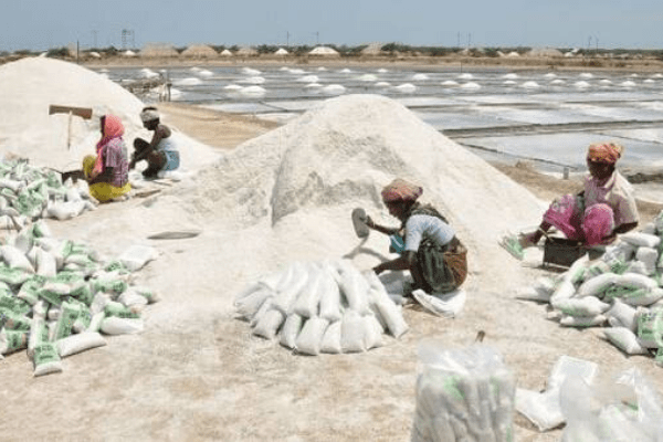 INDIGENOUS INDUSTRY: SALT PRODUCTION - HIKIMA .... Wisdom